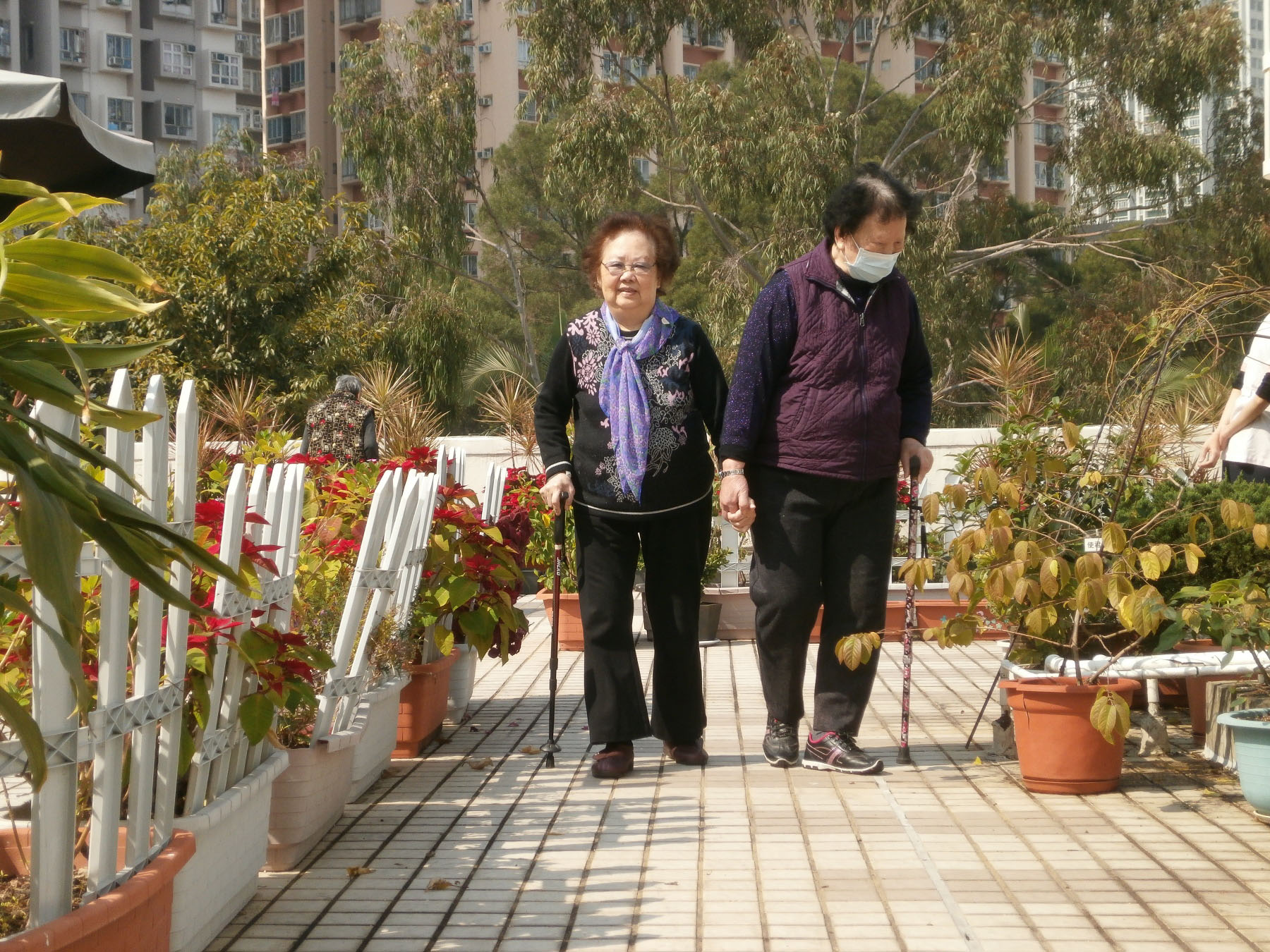 SWD Elderly Information Website | Caritas - Hong Kong Jockey Club ...