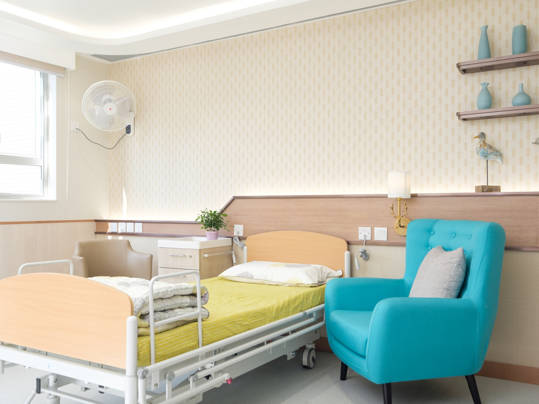 SWD Elderly Information Website | OLIVE NURSING HOME CUM DAY CARE UNIT ...