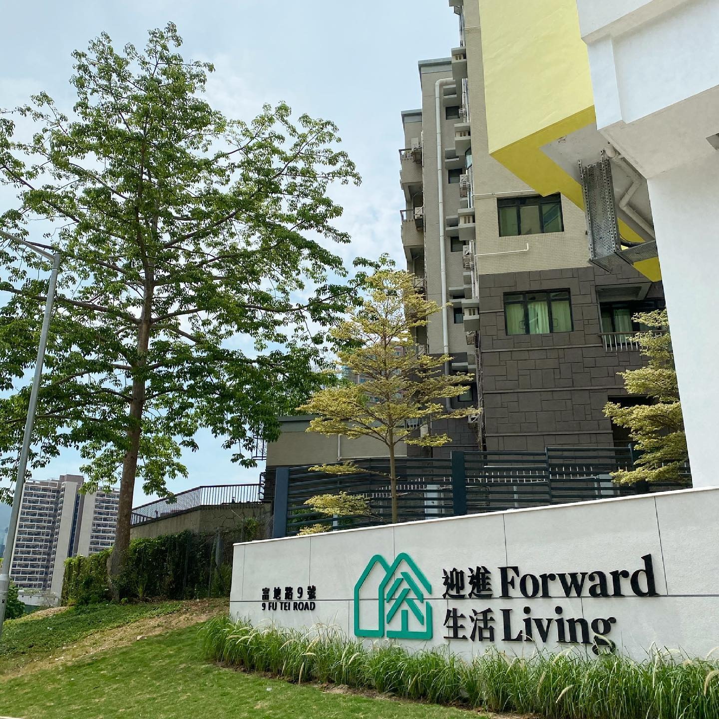 SWD Elderly Information Website | FORWARD LIVING